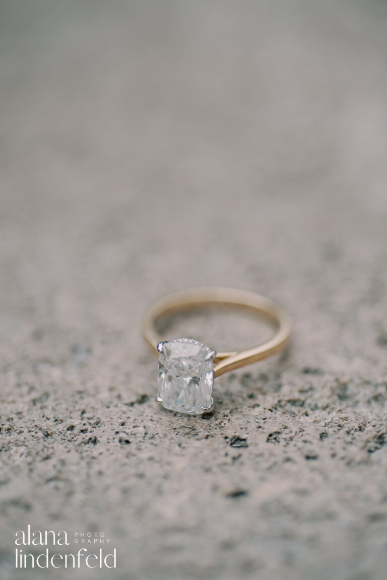 February Proposal in Chicago | Alissa + Cole - alanalindenfeld.com